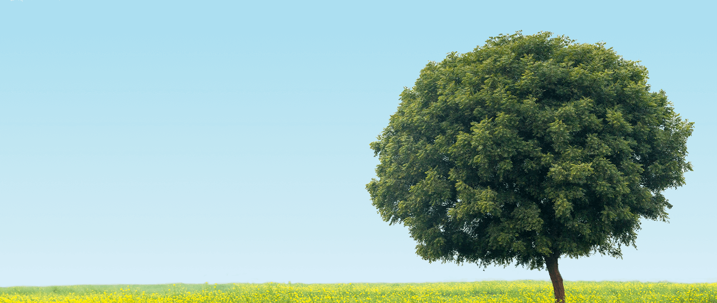 30-Day Relationship Challenge